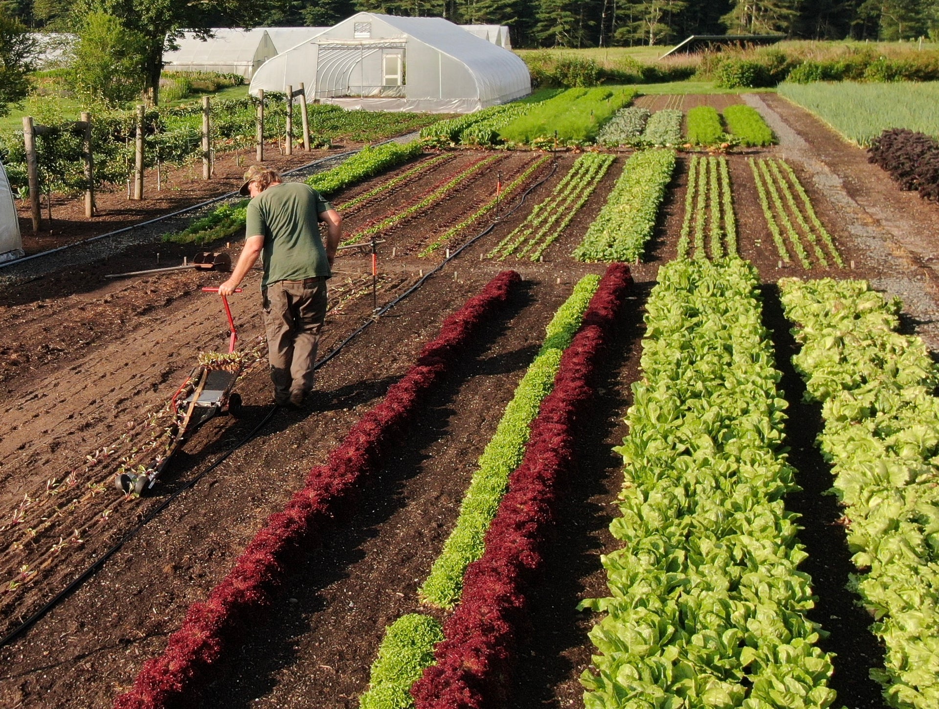 Neversink Farm | Premium Market Farming Tools – Neversink Tools