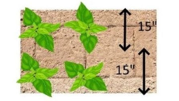 Gridder Kit | Rolling Dibbler | Bed Marker | Transplant Layout | Roller ...