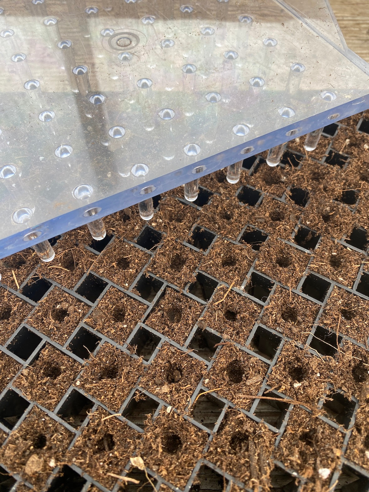 Winstrip® Dibble Board and Plug Popper – Neversink Tools