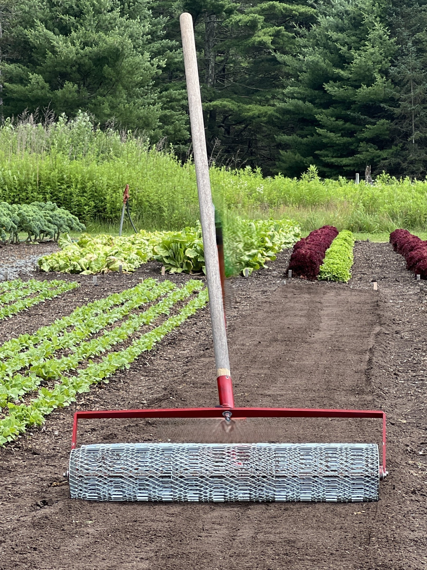 Seed Bed Roller for Soil Smoothing and Firming – Neversink Tools