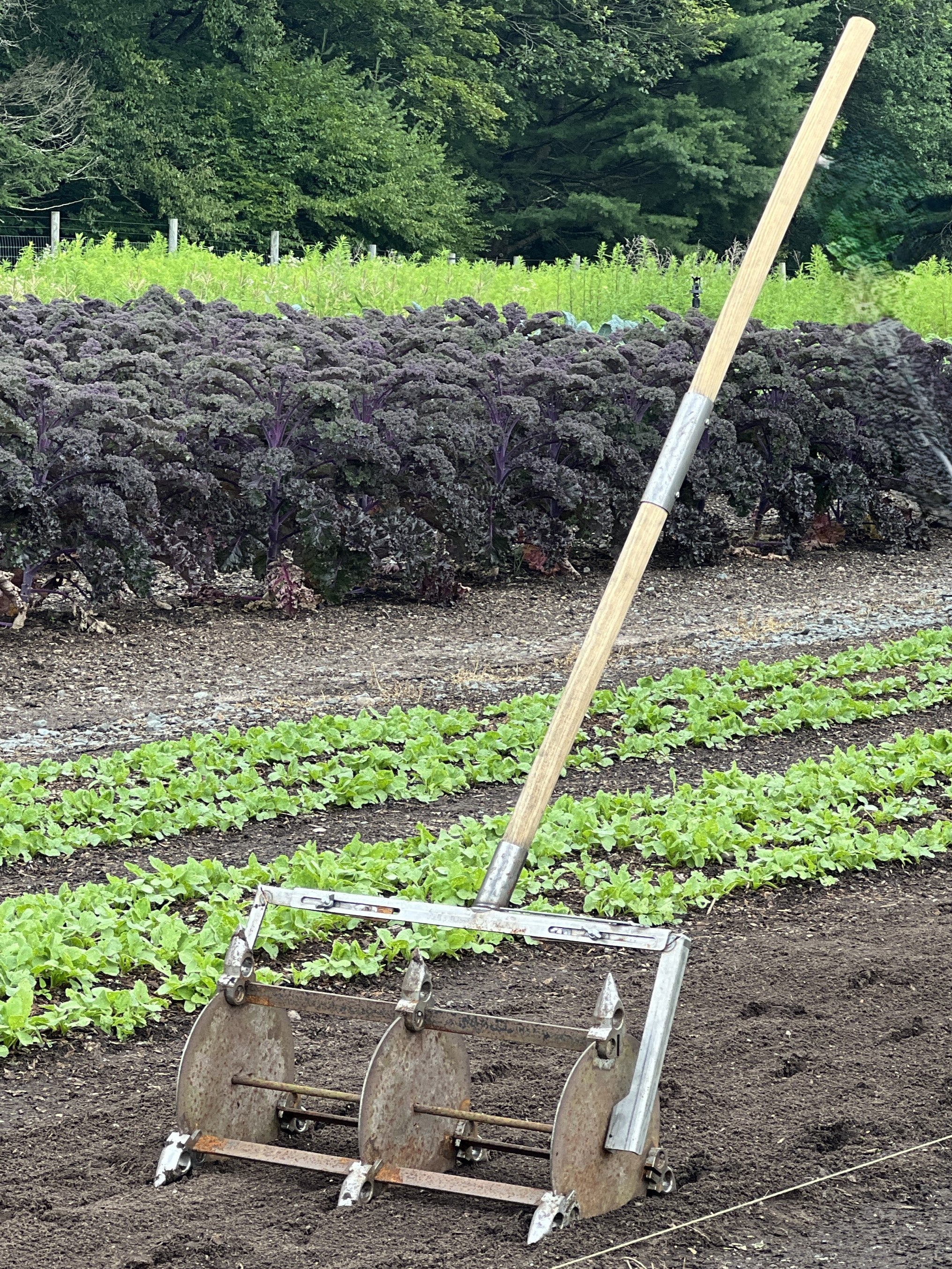 Gridder Dibble Spike Kit for 30" Beds – Neversink Tools