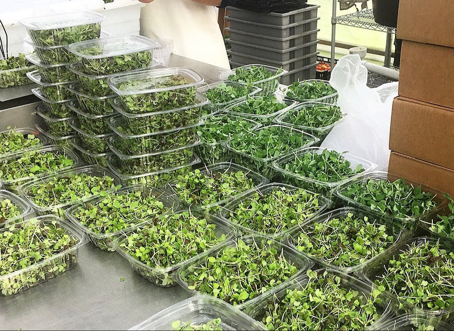 Winstrip™ Drop Seeder Kit by Vertigo – Neversink Tools