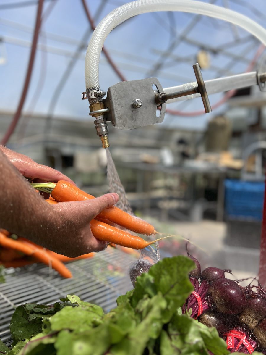 Bunch Washing Stand with Pedal – Neversink Tools