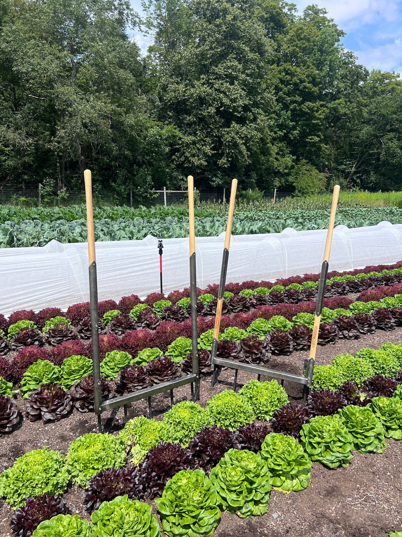 Broadfork Hand Forged with a Lifetime Guarantee "The Goat" – Neversink ...