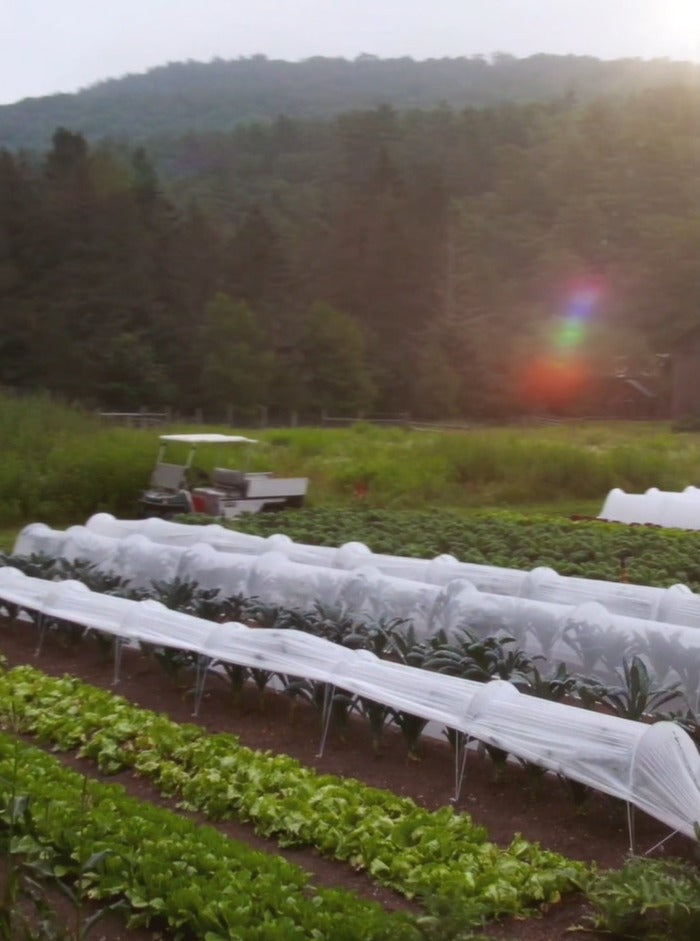 LowCat™ Tunnel Farm Starter Kit – Neversink Tools