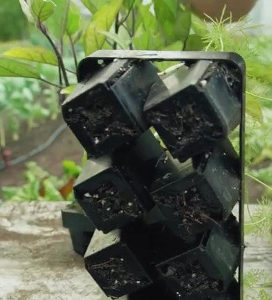 Mini Wini Dibble and Plug Popper – Neversink Tools