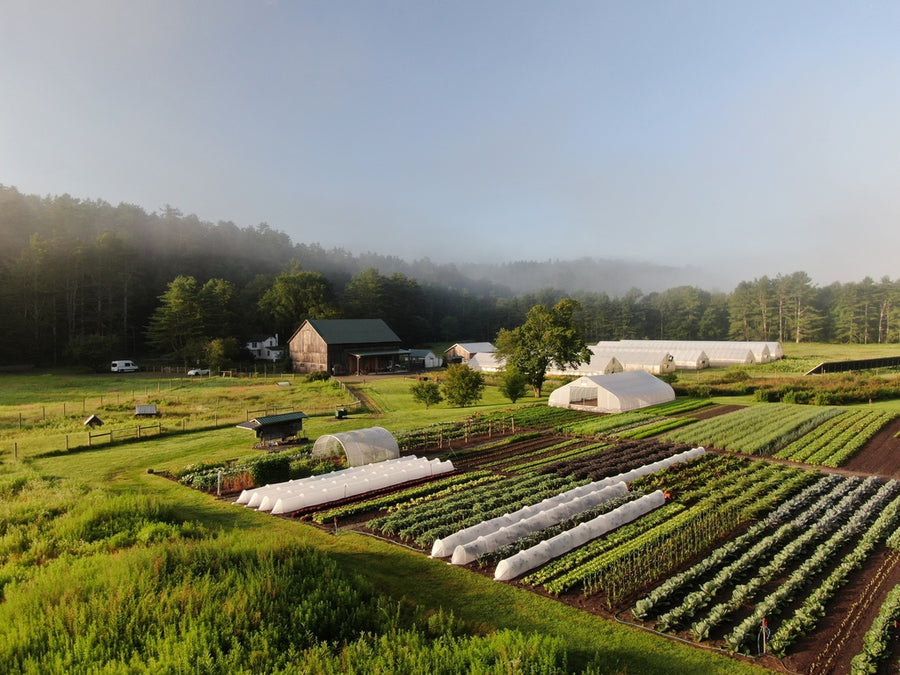 LowCat™ Tunnel 220 Hoop Farm Starter Kit – Neversink Tools