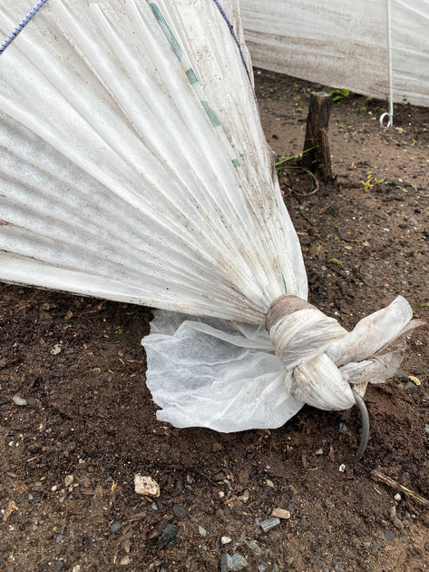 LowCat Tunnel Riser | Trellis Wicket Riser | QLIPR | Lower and Lean ...