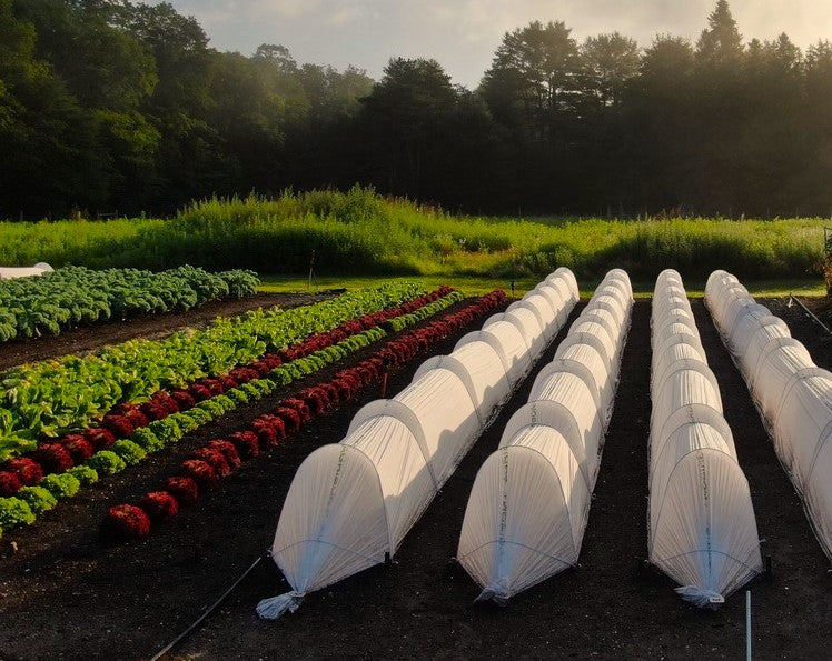 LowCat" Low Tunnel | Hoops – Neversink Tools