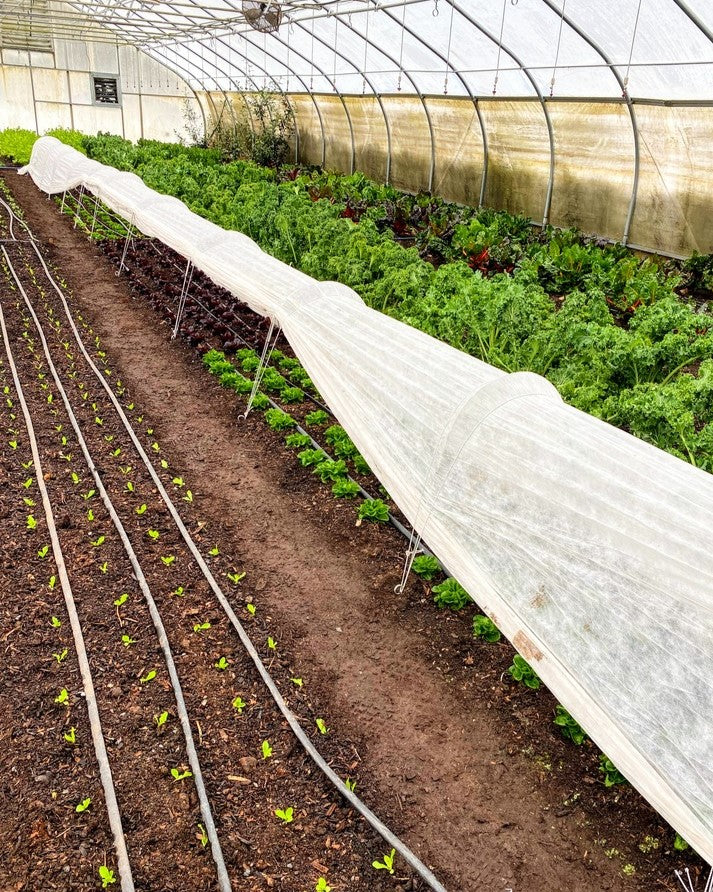 LowCat™ Tunnel Farm Starter Kit – Neversink Tools