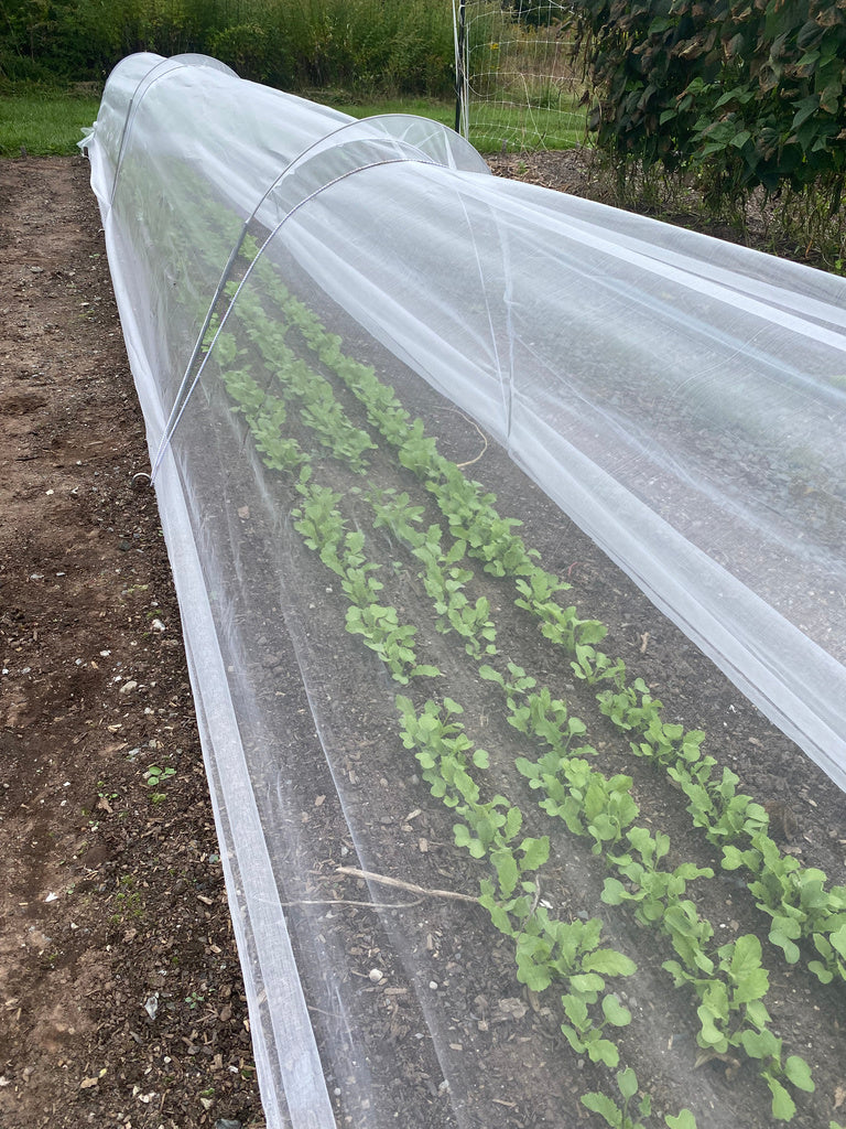 Insect Netting Crop Protection for LowCat Low Tunnel – Neversink Tools