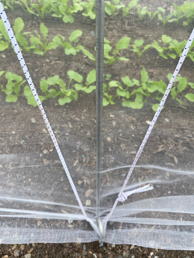 Insect Netting Crop Protection for LowCat Low Tunnel – Neversink Tools